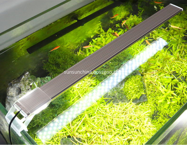 3 피트 Led 수족관 식물 성장 조명, Bossgoo.com의 고품질 3 피트 Led 수족관 식물 성장 조명
