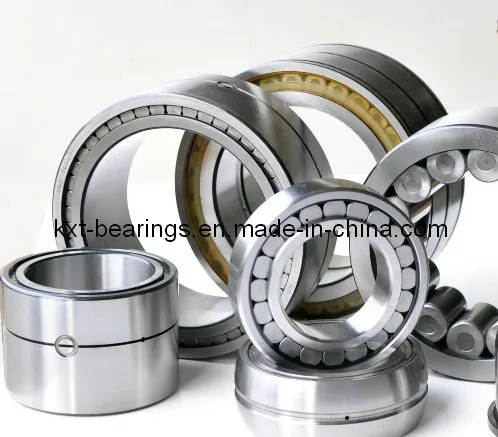 Sl182226 Full Complement Roller Bearing Sl182224 Sl18222 Sl182220 ...