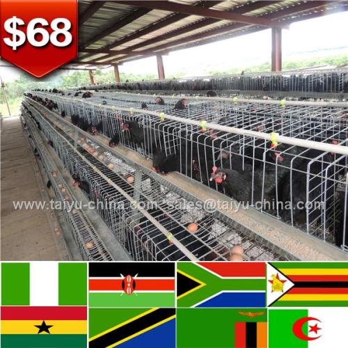 African Automatic Advantages Of Battery Cage System Farm, High Quality ...
