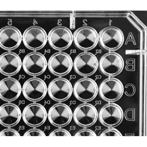 Non-treated 96 well V-bottom Cell Culture Plates China Manufacturer