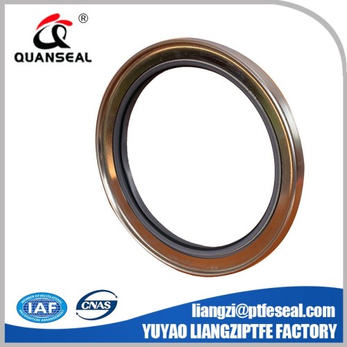 Ptfe Stainless Rotary Shaft Lip Oil Seal, High Quality Ptfe Stainless Rotary Shaft Lip Oil Seal ...