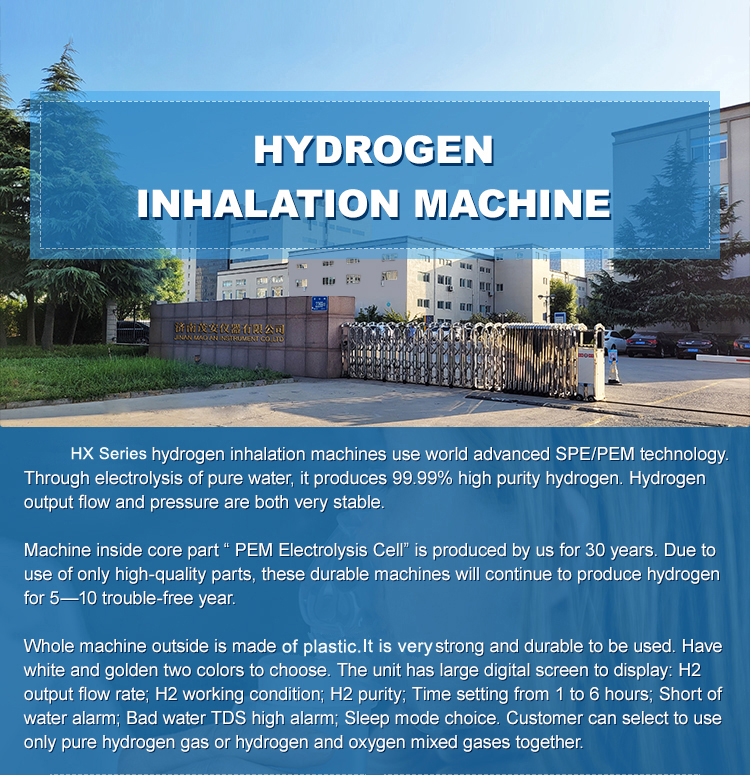 1800ml Oxygen Hydrogen Gas Inhaler Pem Hydrogen Inhaler Hx-1800d, High ...