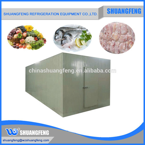 Meat Cold Storage Walk In Cold Room, High Quality Meat Cold Storage ...