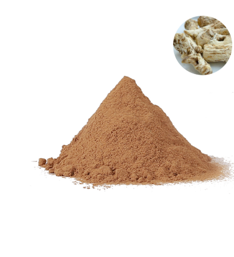 Angelica Extract Angelica Sinensis Extract Ligustilide, High Quality ...