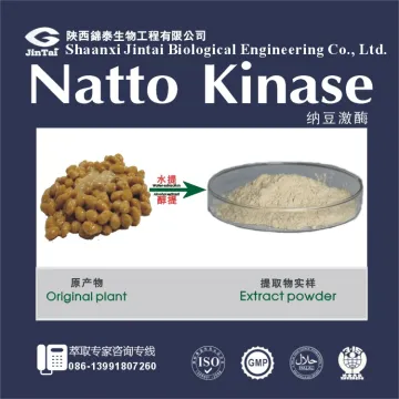 High Quality Natto Extract Powder Nattokinase, High Quality High ...