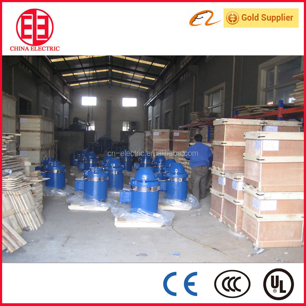 Vertical Hollow Shaft Induction Motor: Features, Applications, And ...