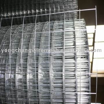 Electro Galvanized Welded Wire Mesh, High Quality Electro Galvanized ...