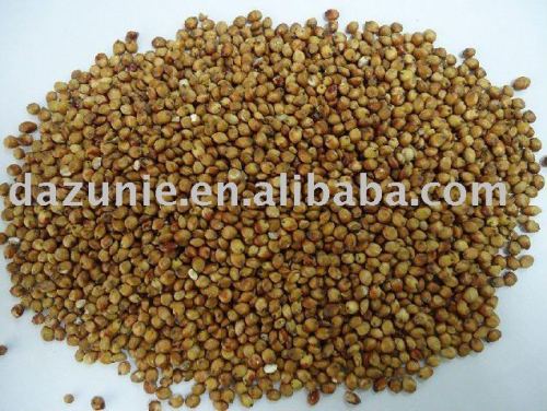 Red Sorghum Seed, High Quality Red Sorghum Seed on Bossgoo.com