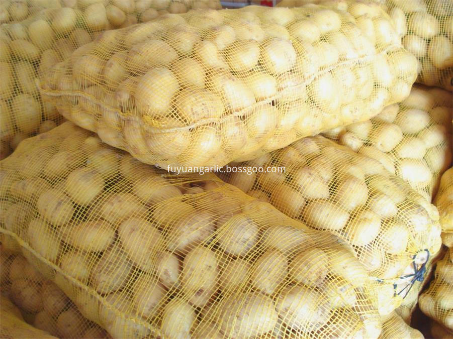 Farm Fresh Potato For Export With Low Price, High Quality Farm Fresh ...