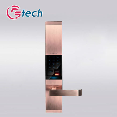 Fingerprint Recognition Door Lock Biometric Fingerprint Door Safe Lock ...