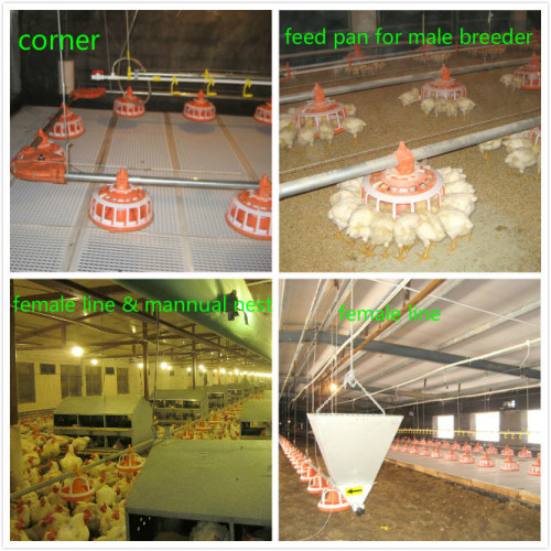 Automatic Poultry Farm Machinery For Breeder Farm, High Quality ...