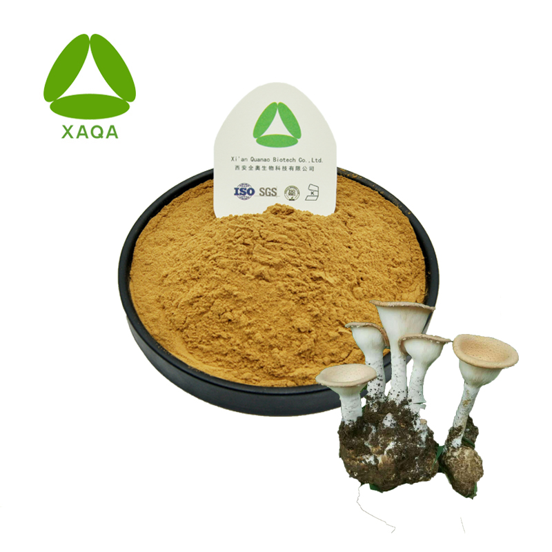 Dietary Supplement Pleurotus Tuber-regium Extract Powder, High Quality ...