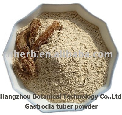 Gastrodiae Rhizoma/gastrodia Tuber Powder, Whole, Slice, High Quality ...