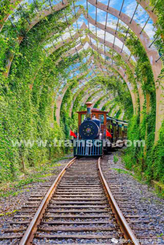 Fairy Tale Locomotive