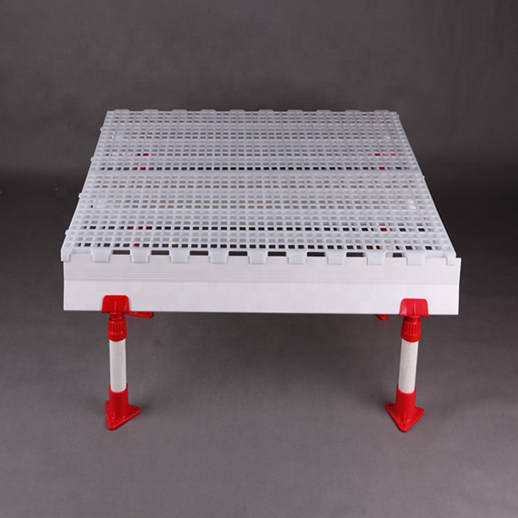 Modern Poultry Equipment: Slat Floor Systems For Chicken Houses, High ...