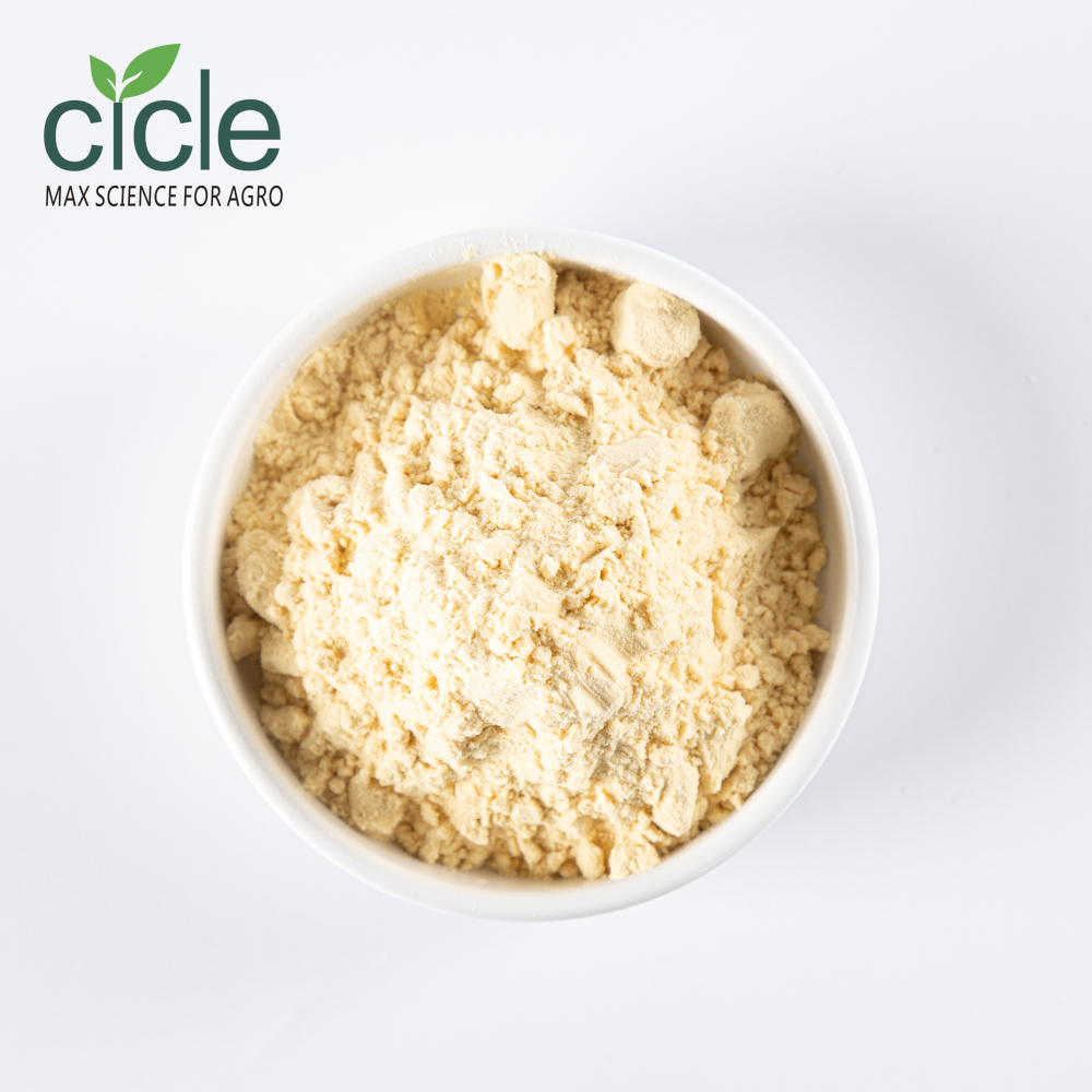 Chitosan Oligosaccharide Powder COS China Manufacturers Suppliers ...