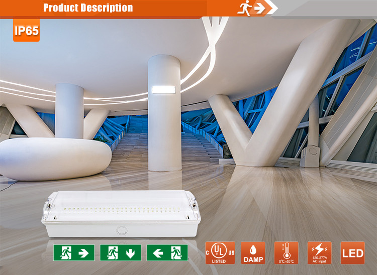 Uae Civil Defence Approved Led Emergency Lights, High Quality Uae Civil ...