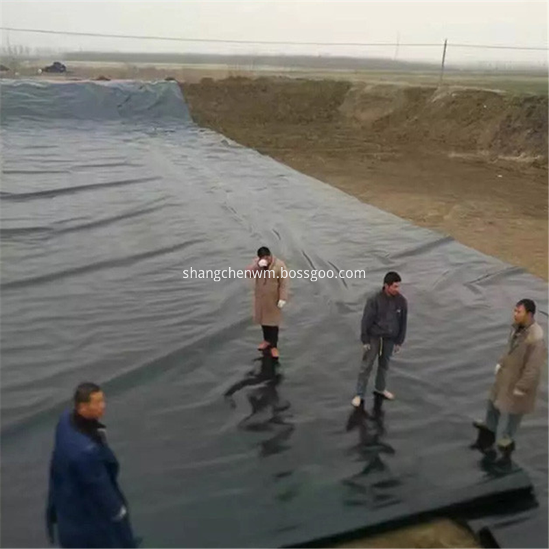 Geomembranes /geotechnical Membrane For Embankment Dam, High Quality ...