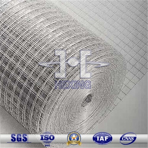 Sus Welded Mesh Roll, High Quality Sus Welded Mesh Roll on Bossgoo.com