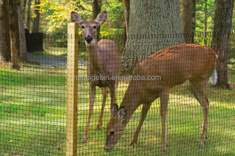 6ft To 8ft Poly Bop Deer Fence / Plastic Deer Fence, High Quality 6ft ...