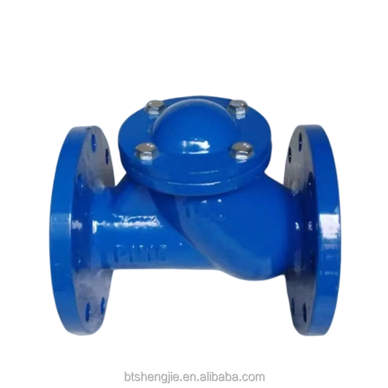 Flexible Rubber Flap Check Valve: Ductile Cast Iron Ggg50 And Rubber ...