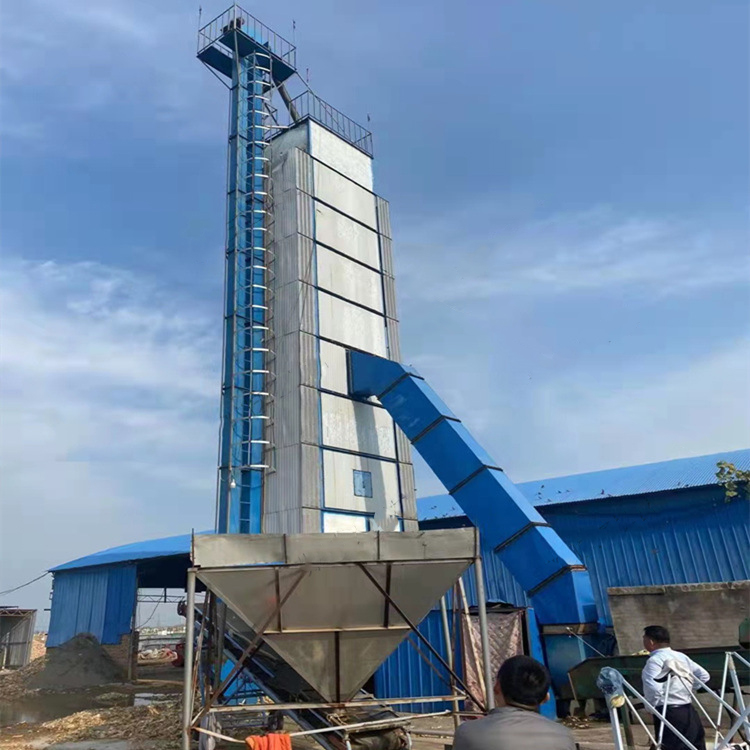 Sorghum And Grain Drying Equipment: Rice, Wheat, And Vertical Dryers ...