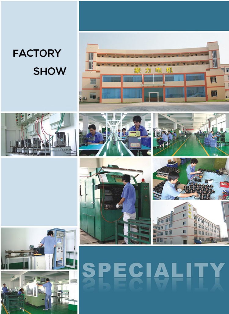 High Efficiency High Rpm Electrical Motor For Blender (ml-9550), High ...