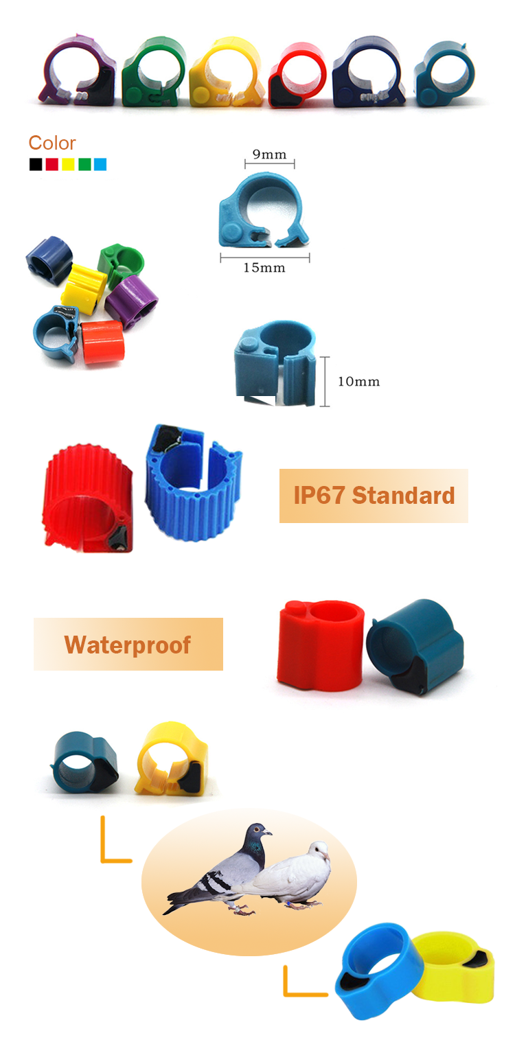 Racing Rfid Smart Ring Tags For Pigeons, High Quality Racing Rfid Smart ...