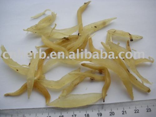 Dried Chinese Asparagus Root, High Quality Dried Chinese Asparagus Root ...