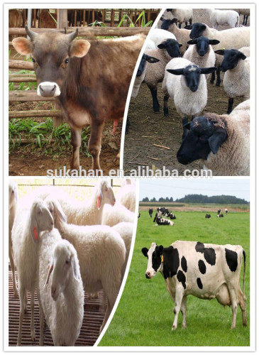 Compound Enzyme Used For Ruminant Animal Feed, High Quality Compound ...