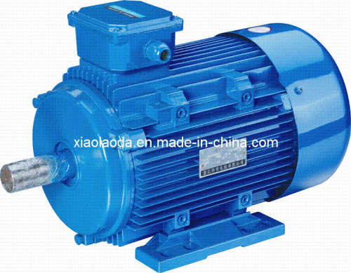 Three Phase Induction Electric Motor (frame Y2 56-y2 315), High Quality ...