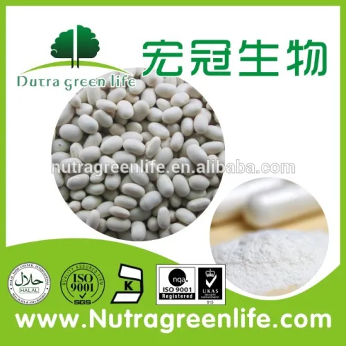 White Kidney Bean Powder Extract, High Quality White Kidney Bean Powder ...