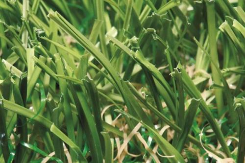 Mt-superior Residential Artificial Grass, High Quality Mt-superior ...