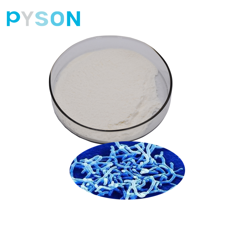 Probiotic Powde Bifidobacterium Lactis Powder, High Quality Probiotic ...