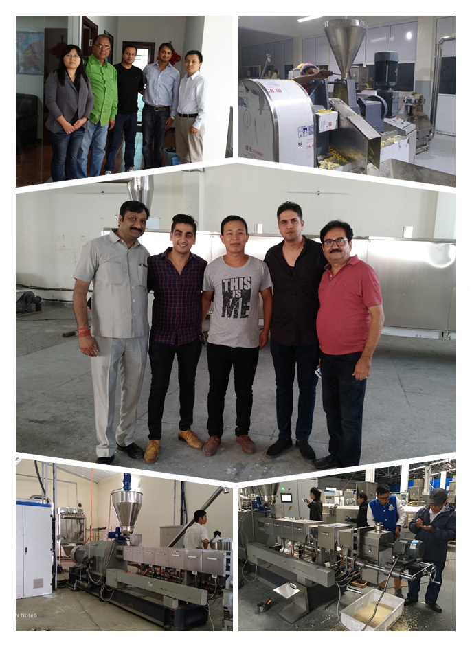 Environmentally Friendly Modified Starch Corn Building Block Extruder ...