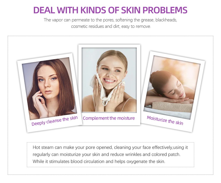 Nano Mist Sprayer: Ionic Hot And Cool Steam Vaporizer For Ozone Facial ...