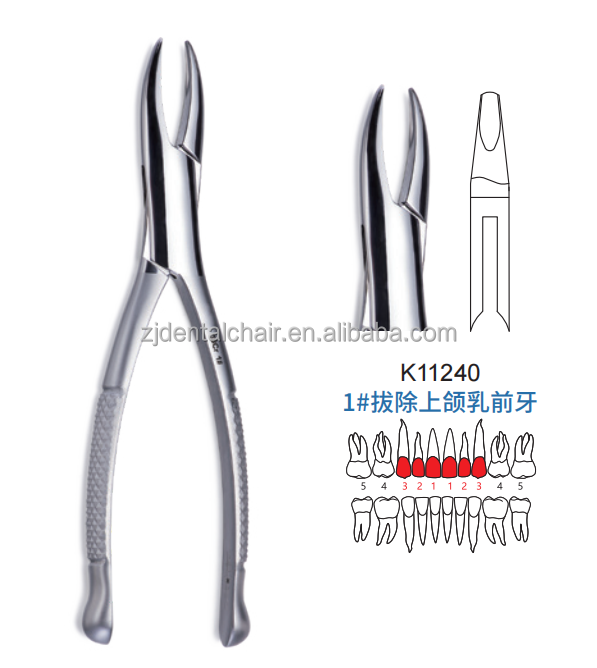Children Dental Forceps For Deciduous Anterior Teeth Extraction, High ...