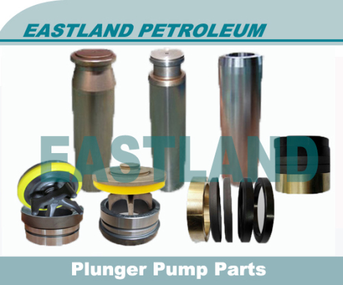 Spm Tws600/tws2250/qws2500 Plunger Pump Valve Seat Plunger, High ...