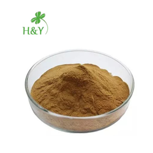 Andrographis Paniculata Leaf Extract Powder Capsule High Quality Andrographis Paniculata Leaf