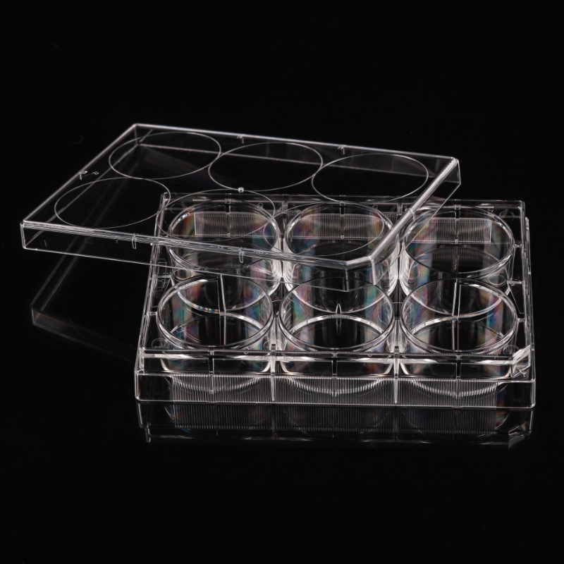 Non-Treated 6 well Cell Culture Plates China Manufacturer