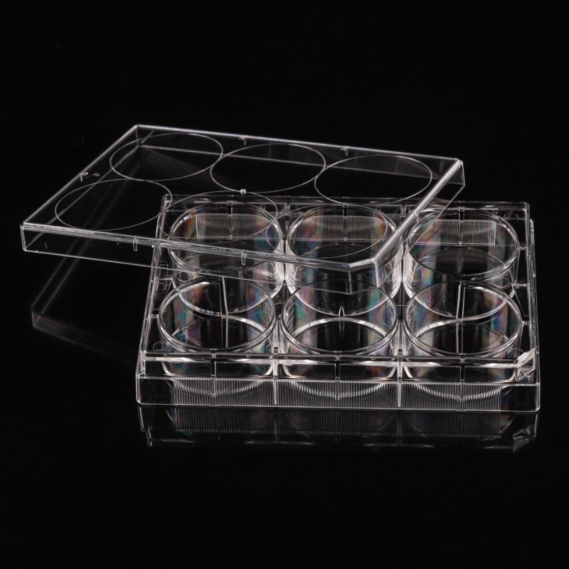 Non-Treated 6 well Cell Culture Plates China Manufacturer