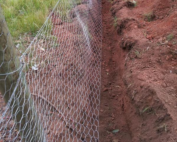 Galvanzied Hexagonal Rabbit Wire Fencing, High Quality Galvanzied ...