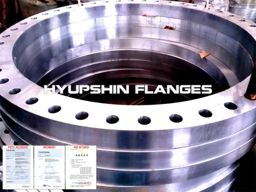 Flanges En1092 1 Pn10 Pn16 Steel S235jr P245gh P250gh High Quality