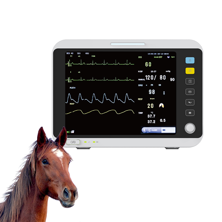 Co2 Spo2 Veterinary Handheld Vital Sign Multiparameter Monitor, High ...
