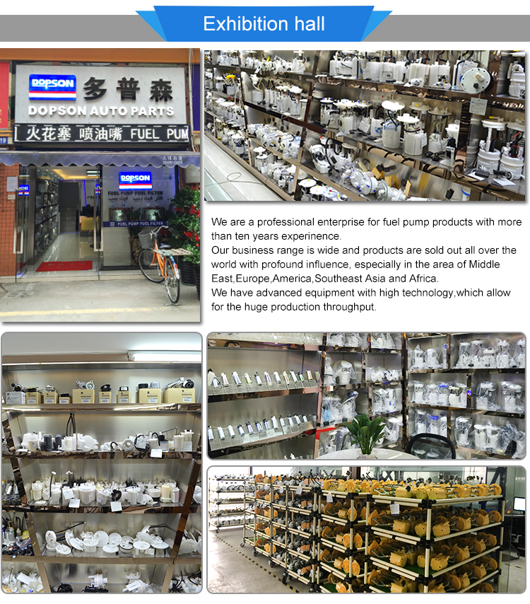 Auto Spare Electric Fuel Pump Assembly Manufacturer For Buick Royal And ...