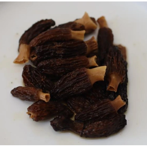 Frozen Cooked Morel Mushroom China Manufacturers Suppliers Factory Exporter