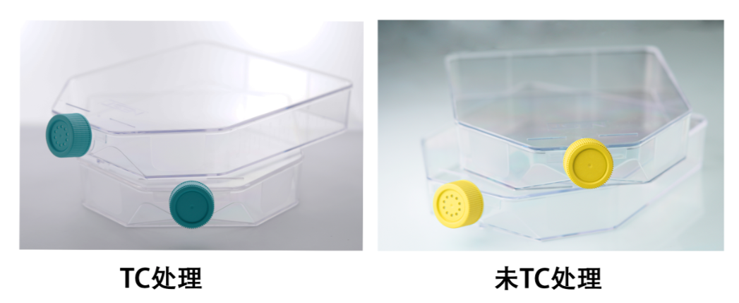 T400 Cell Culture Flask — A New Choice for Efficient, Large-Scale Cell ...