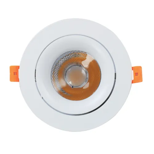 30w Cob Recessed Led Downlight Round Down Light, High Quality 30w Cob Recessed Led Downlight ...
