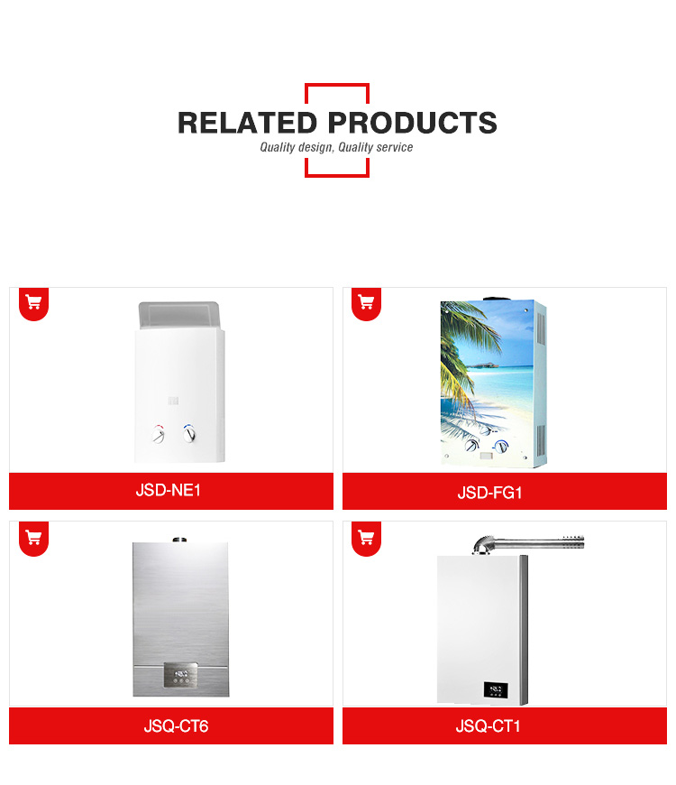 Flue Type Gas Geyser With Gas Water Heater Shower Kit 6l 8l 10l, High ...