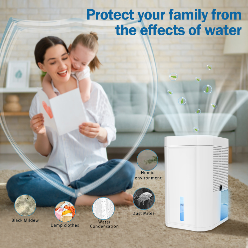 Compact Electric Peltier Moisture Absorber For Drying Clothes In ...